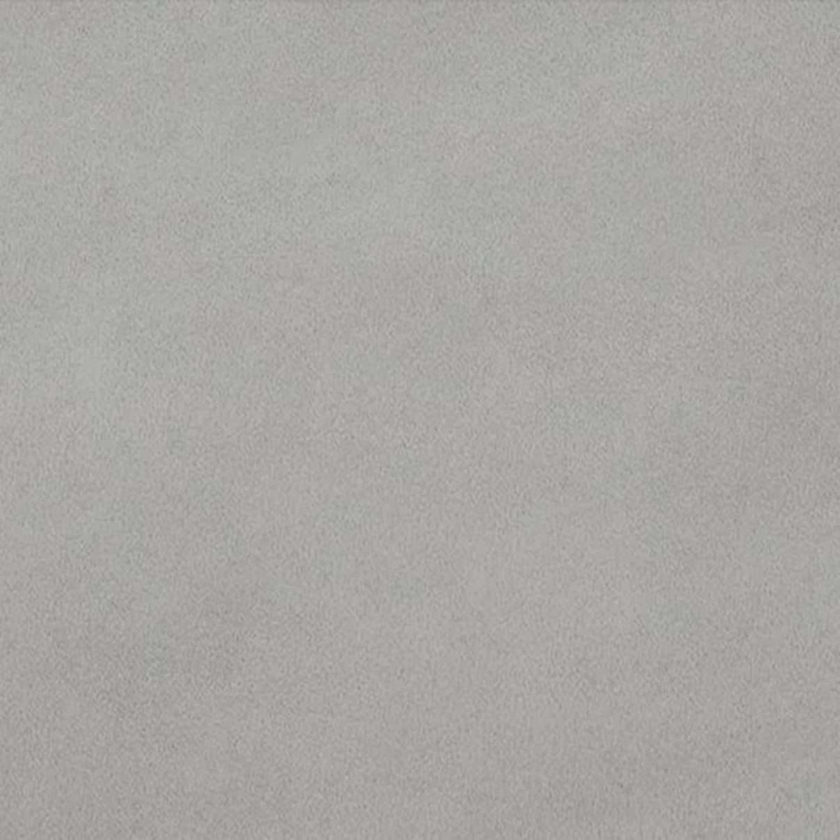 Sterling Quilting Cuddle - Shannon Fabrics – Funky Monkey Fabrics